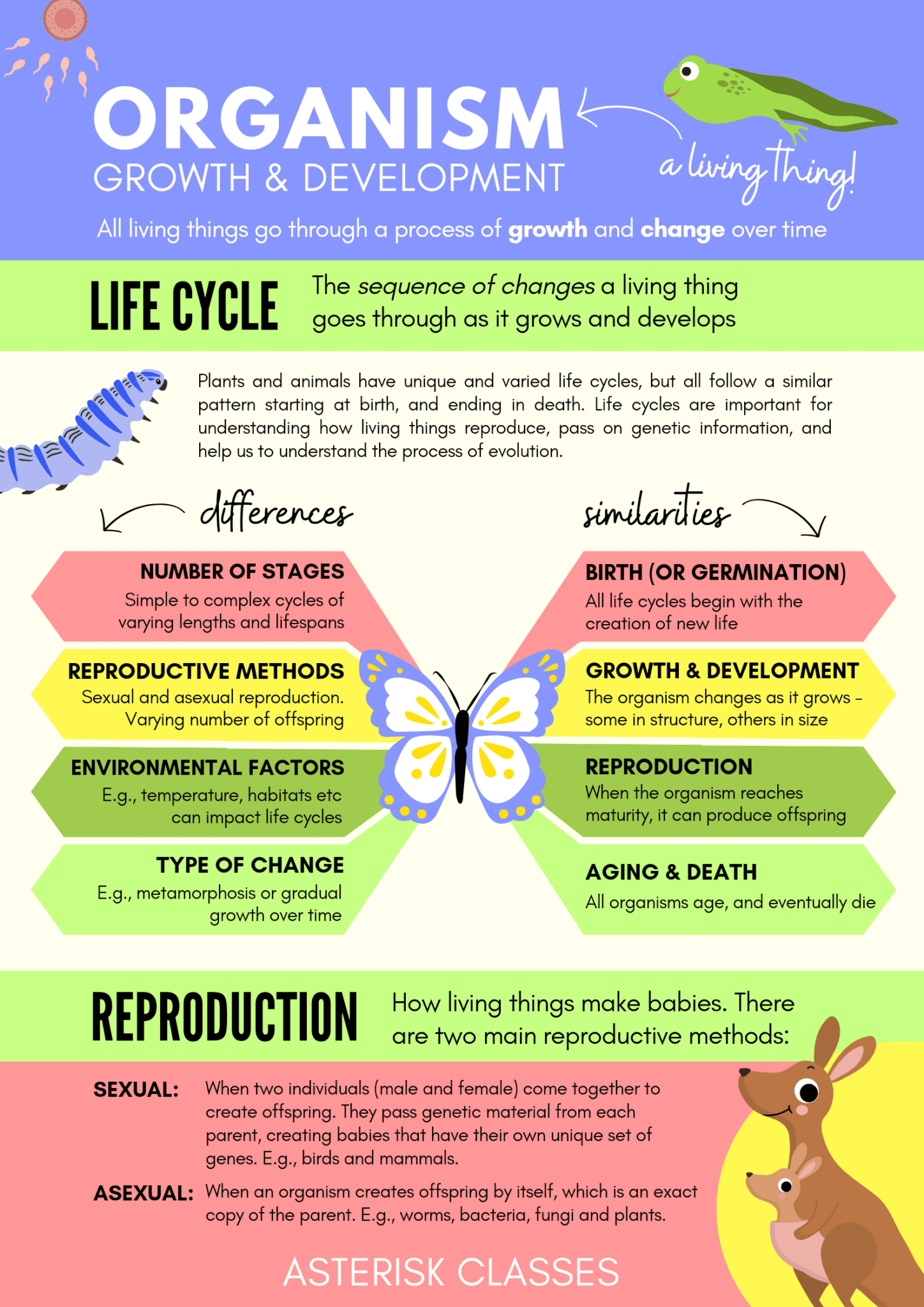 Most Important Types Of Reproduction In Organisms | Asterisk Classes